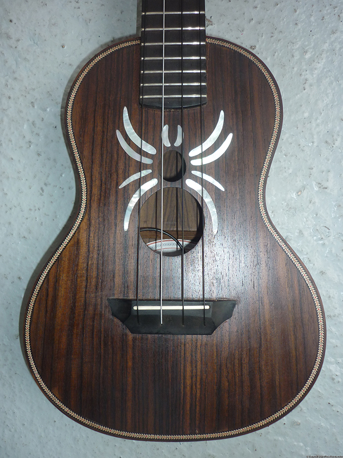 Portfolio - ::: John Procter - Luthier